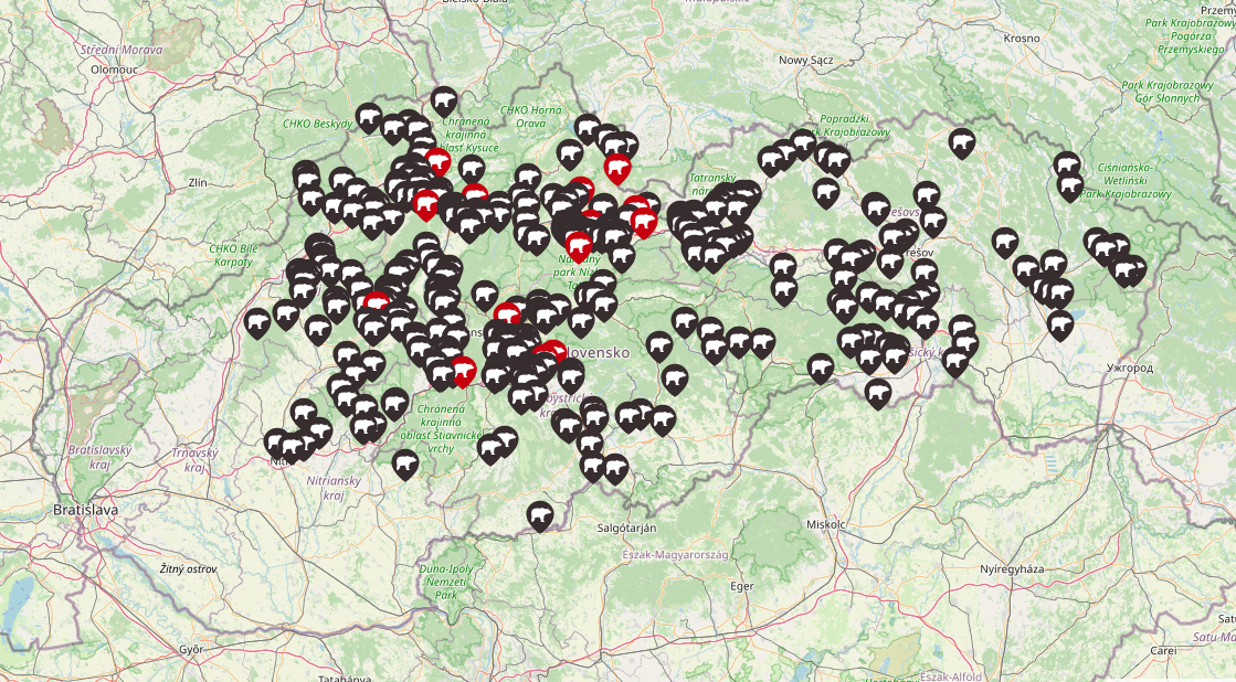 MAPA: Na týchto miestach Slovenska ľudia hlásia výskyt medveďov